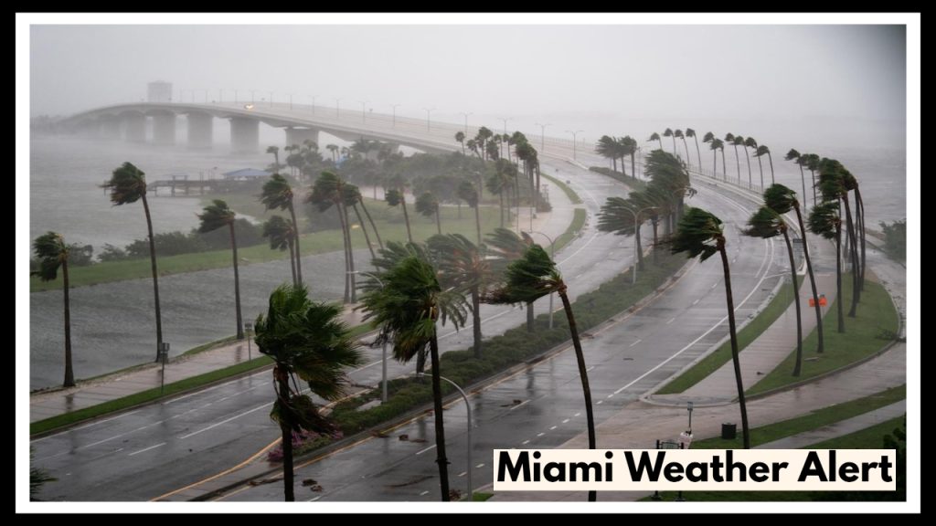 Gusty Winds, Surprise Showers? Here’s What’s Really Coming to Miami
