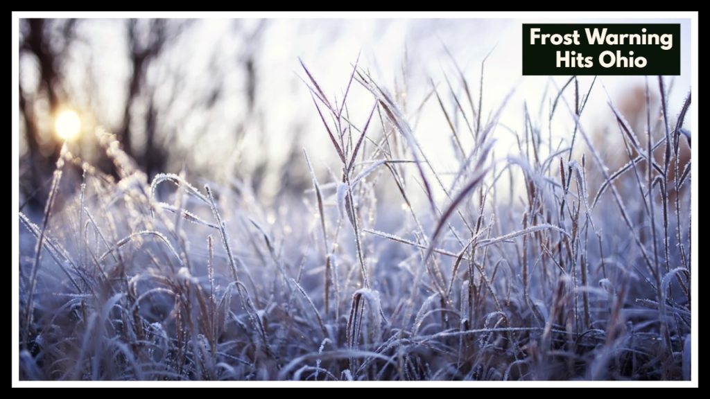 Frost Warning Hits Ohio: What You Need to Know Before Saturday Morning