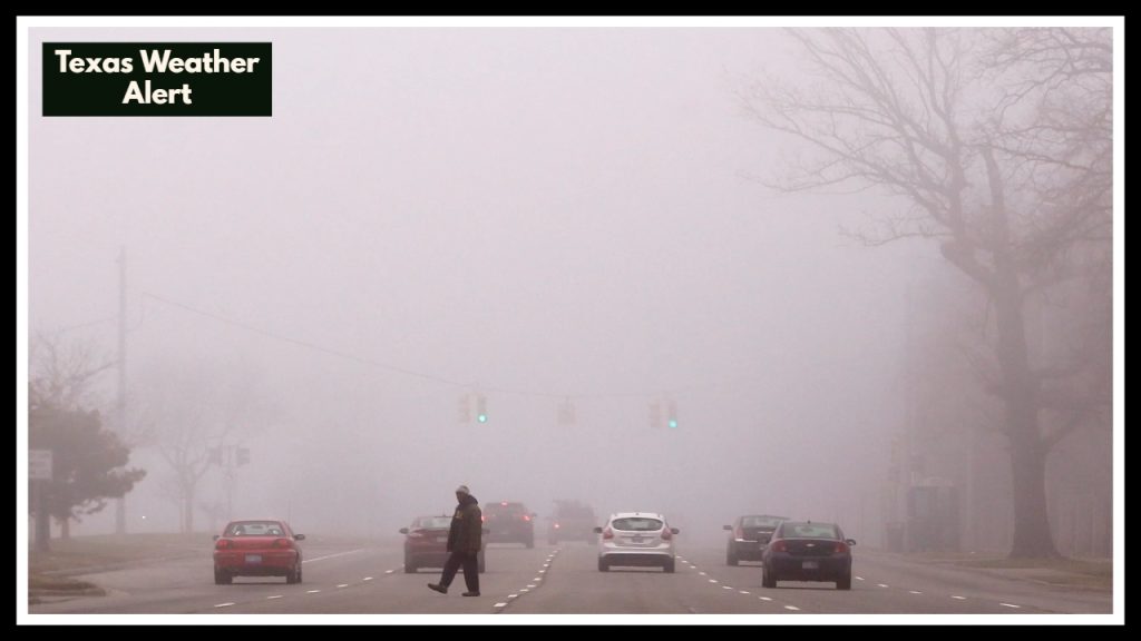 Texas Weather Alert: Dense Fog Could Wreak Havoc on Your Morning Drive ...