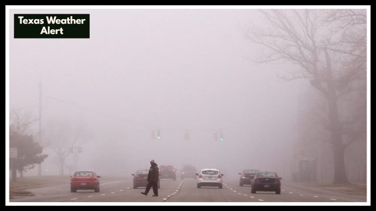 Texas Weather Alert: Dense Fog Could Wreak Havoc on Your Morning Drive ...