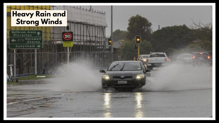 Warning: Heavy Rain and Strong Winds Set to Hit Detroit—What You Need ...