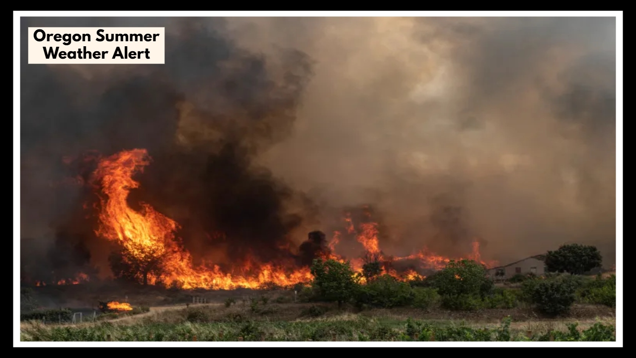 Oregon Summer Weather Alert: Dangerous Heat Wave Could Shatter Records ...